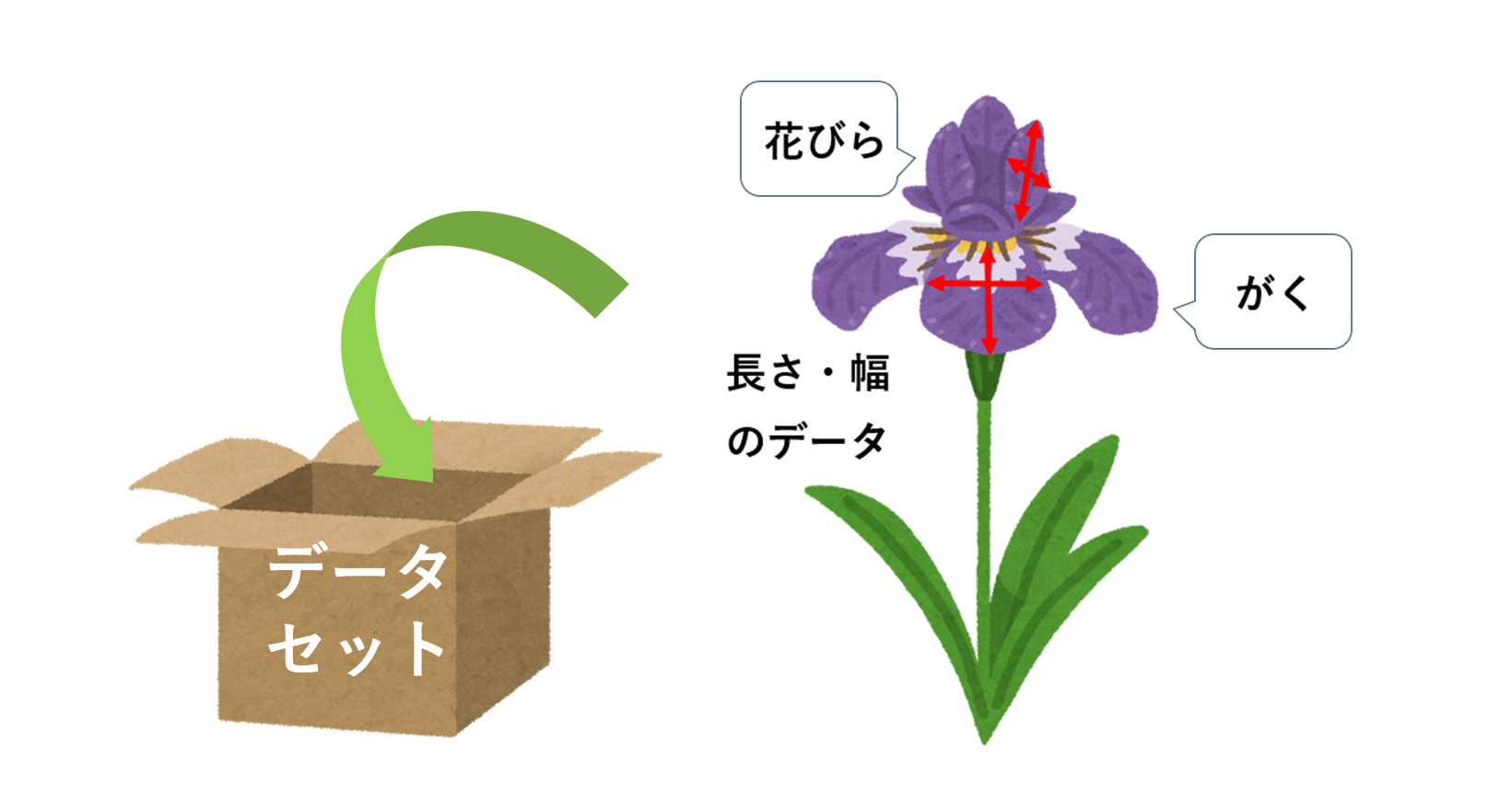 008_アヤメのデータセットを確認しよう | 小中高生向け 生成AIプログラミングスクール momotech